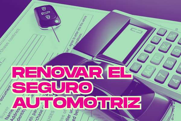🥇Renovación del seguro automotriz en Chile: todo lo que necesitas saber ...